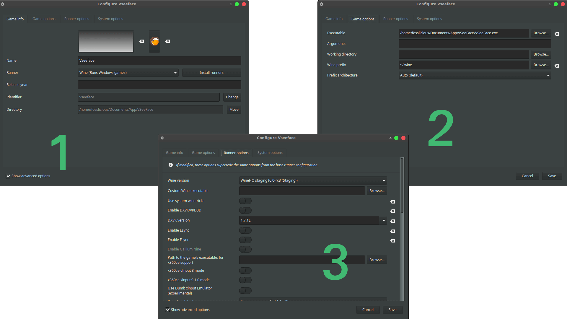 How To Use Lutris To Run VSeeFace On Linux Dumb Otaku
